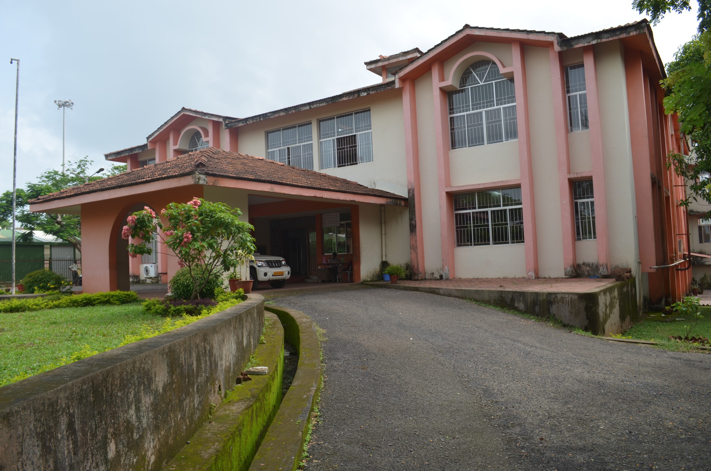 Sodium Alginate: Uses, Dosage, Side Effects & Interactions