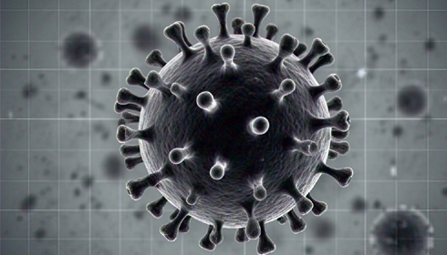 Novartis India Ltd. Femara (Letrozole): Uses, Dosage, Side Effects